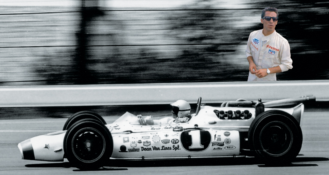 The Hawk - Birds of Prey