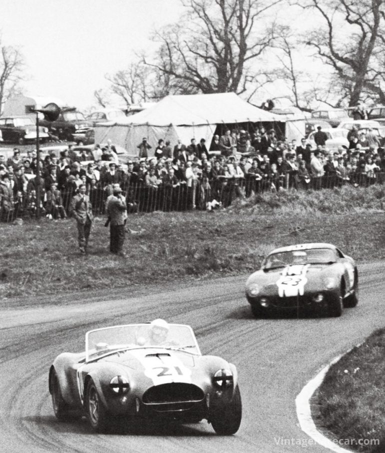 Cobras—Then and Now