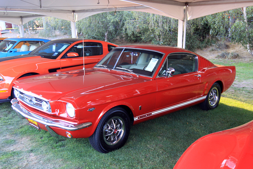 Ford Model List Every Ford Every Year SC