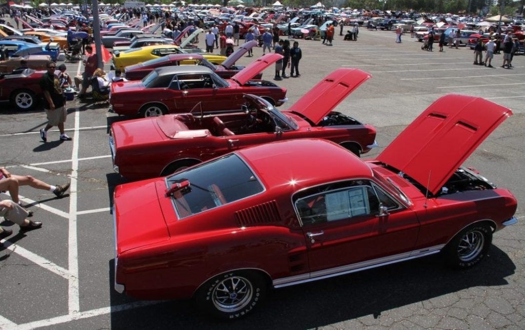 55 Years of the Mustang Celebration