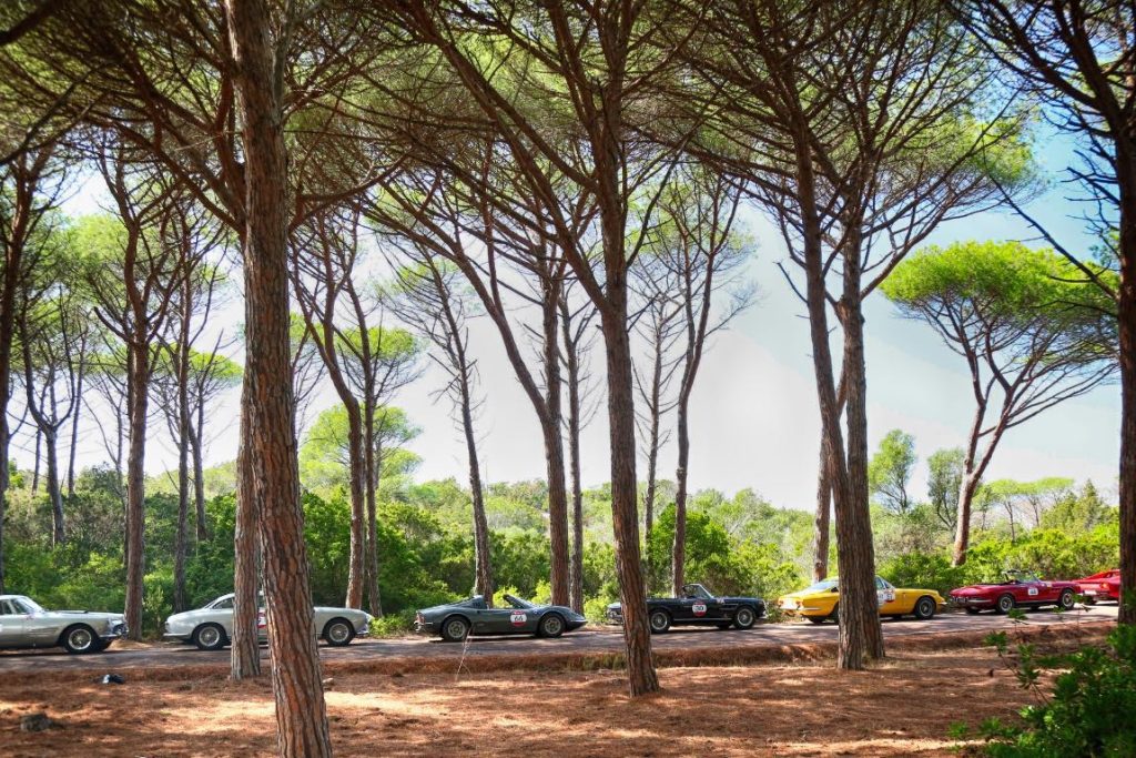 Ferrari Cavalcade Classiche (2018) - Photo Gallery