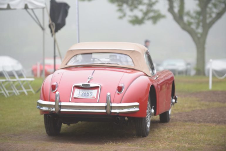 Greenwich Concours d'Elegance 2019 - Photos, Award Winners