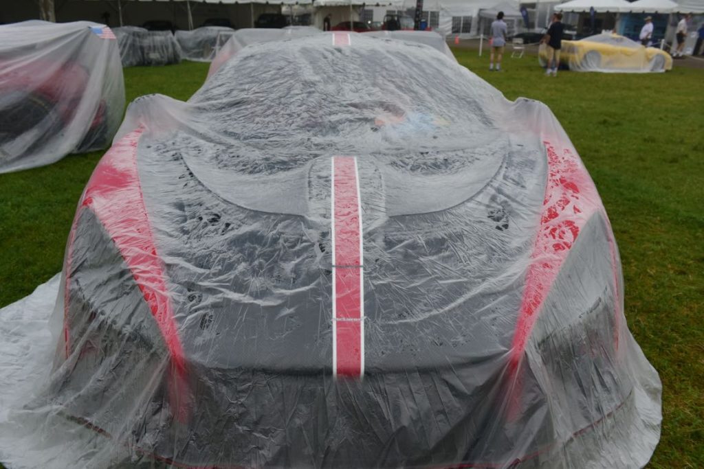 Greenwich Concours d'Elegance 2019 - Photos, Award Winners