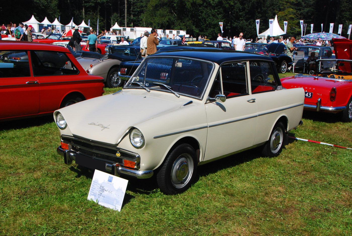 From the Land of Tulips - The DAF Daffodil