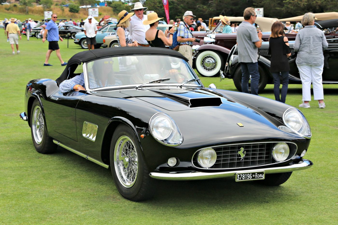 Hillsborough Concours (2019) - Subscriber Only Photo Gallery