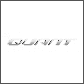 Quant Logo