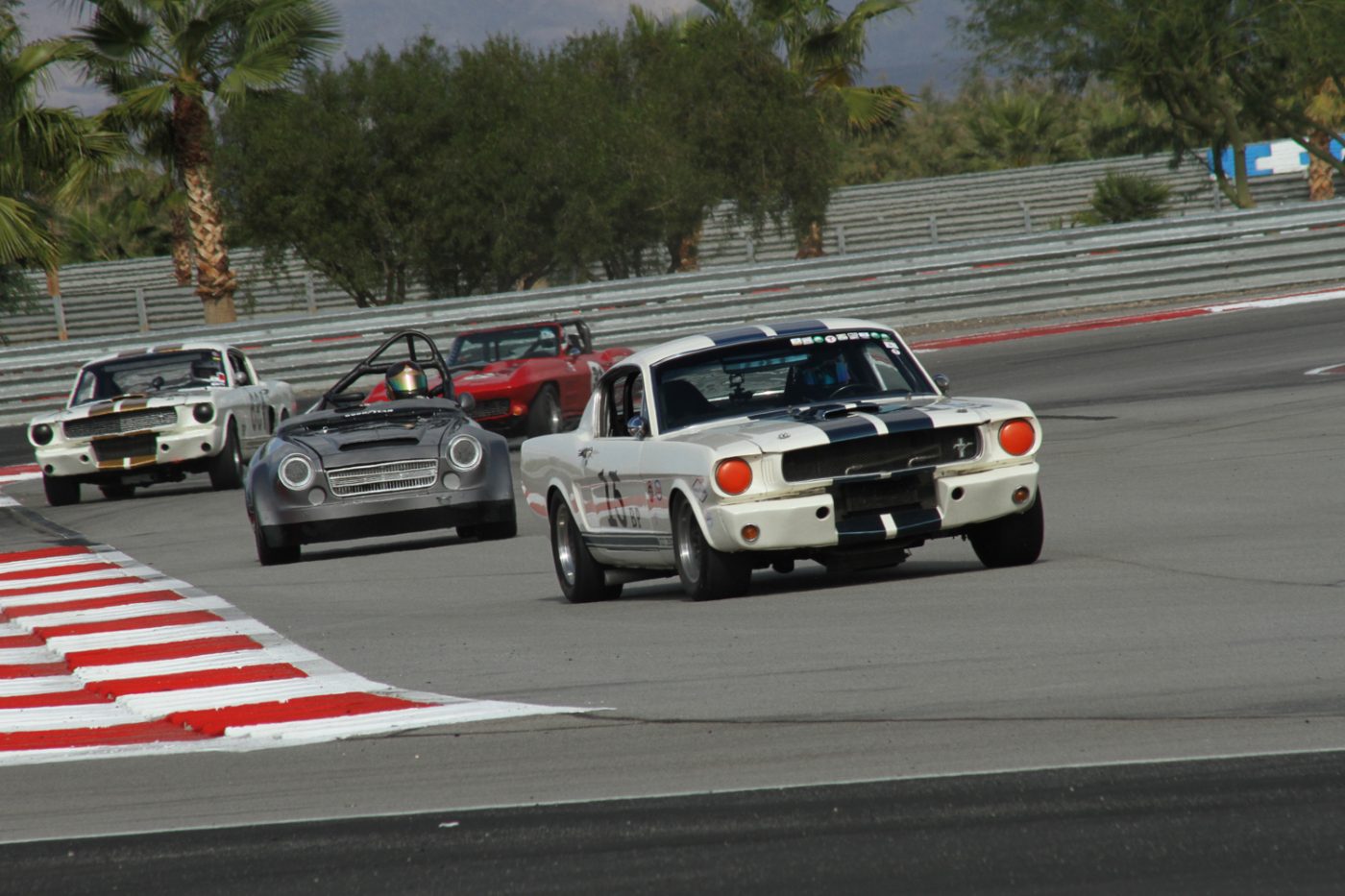 Thermal Club Speed Festival Subscriber Photo Gallery