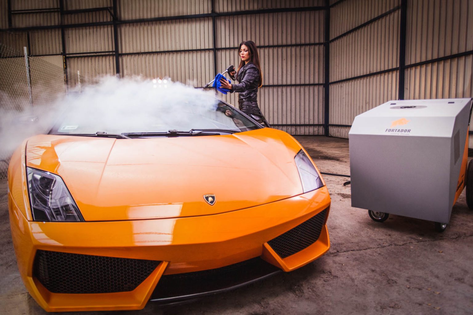 Is it Time to Steam Clean Your Car?