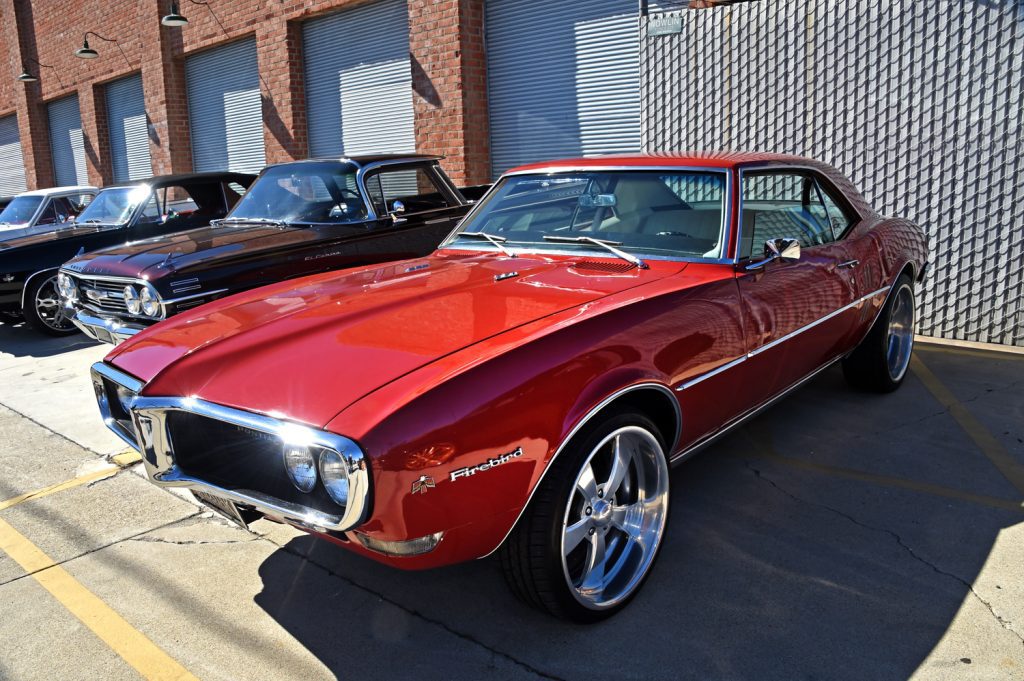 Muscle Madness Photo Gallery