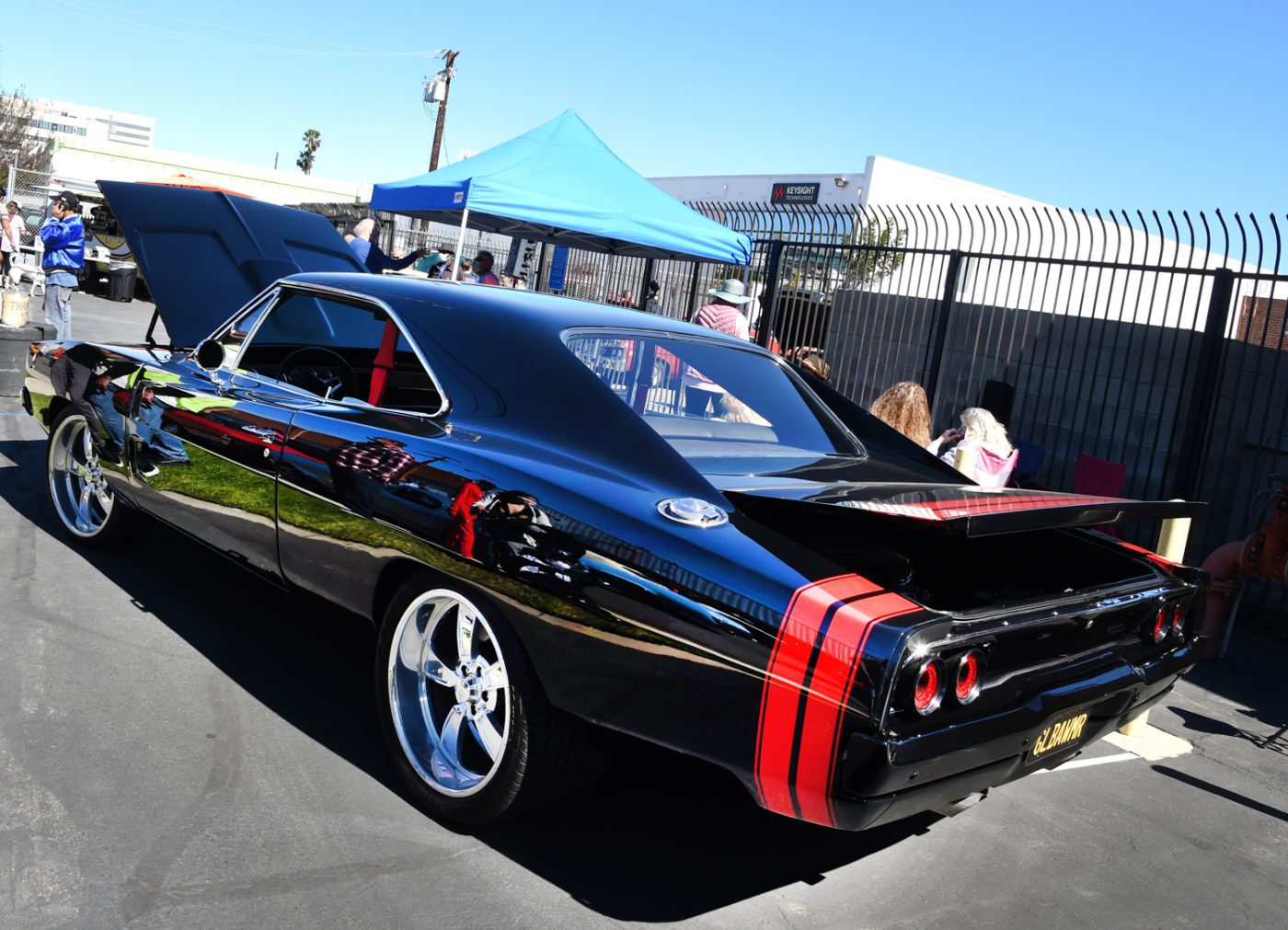 Muscle Madness Photo Gallery