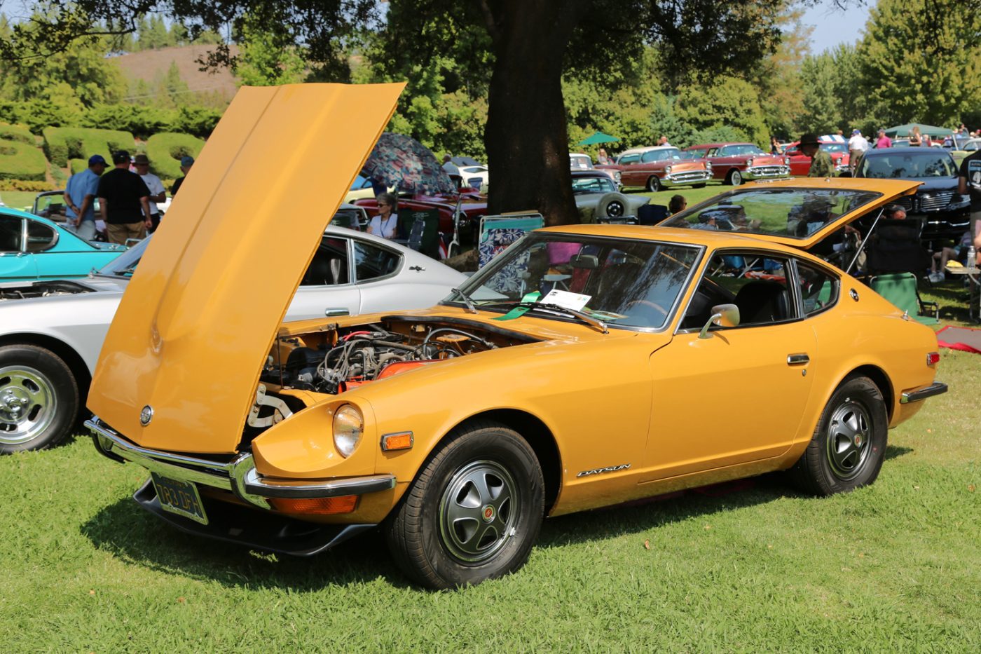 Ironstone Concours (2021) - Subscriber Only Photo Gallery