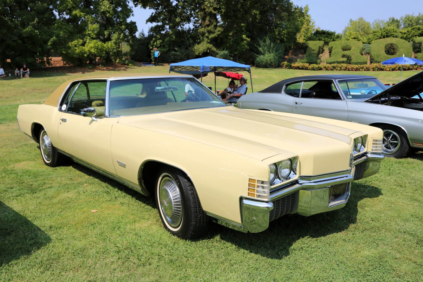 Ironstone Concours (2021) - Subscriber Only Photo Gallery