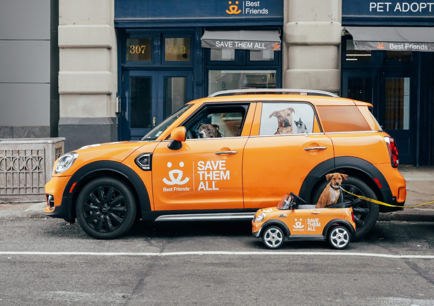 MINI USA Helps Shelter Homes Get Their Fur-ever Homes