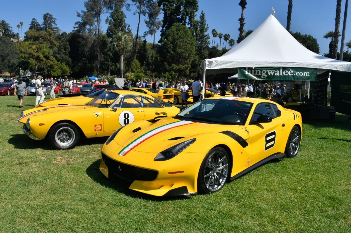 David Lee Ferrari collection | | SuperCars.net