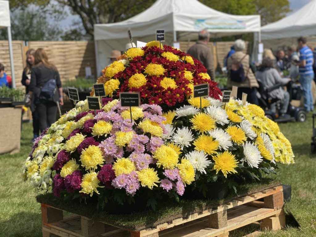 Beaulieu 2023 Schedule Of Events Announced