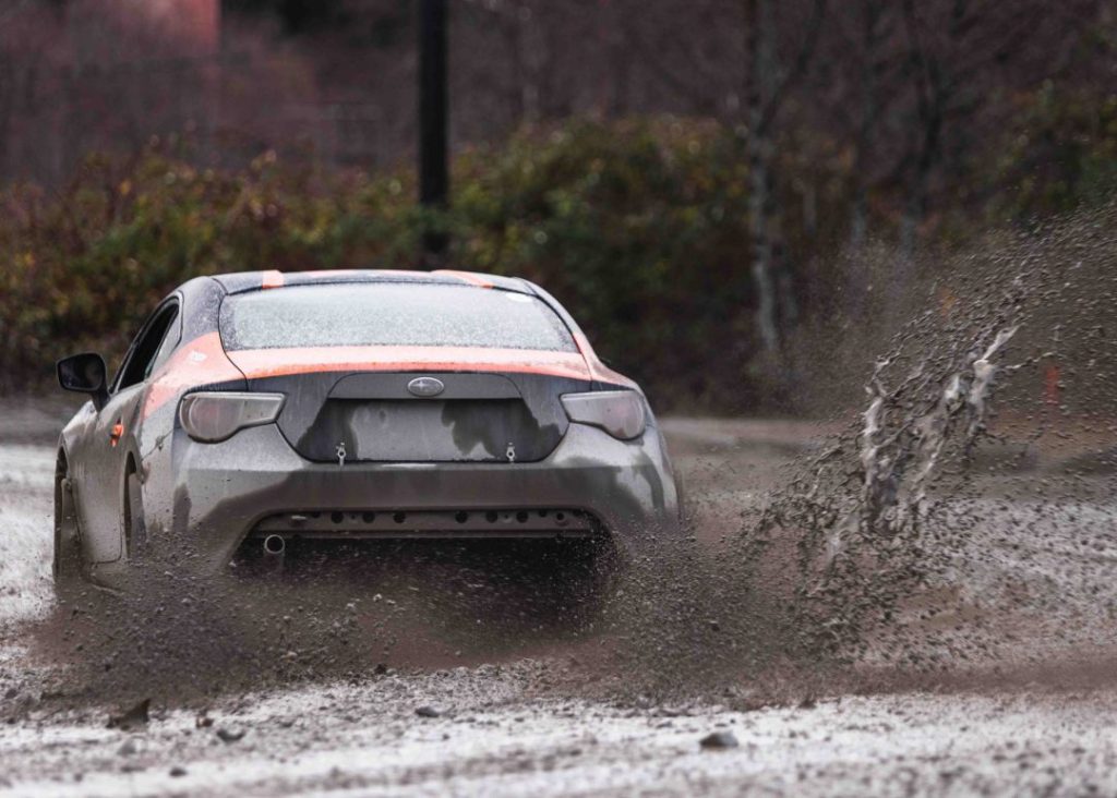 Dirt Fish Rally Cars