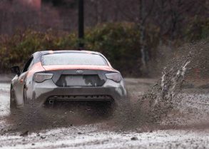 Dirt Fish Rally Cars