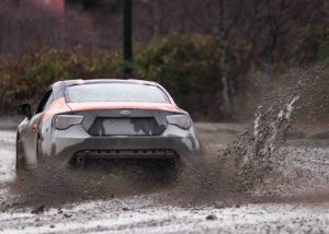 Dirt Fish Rally Cars