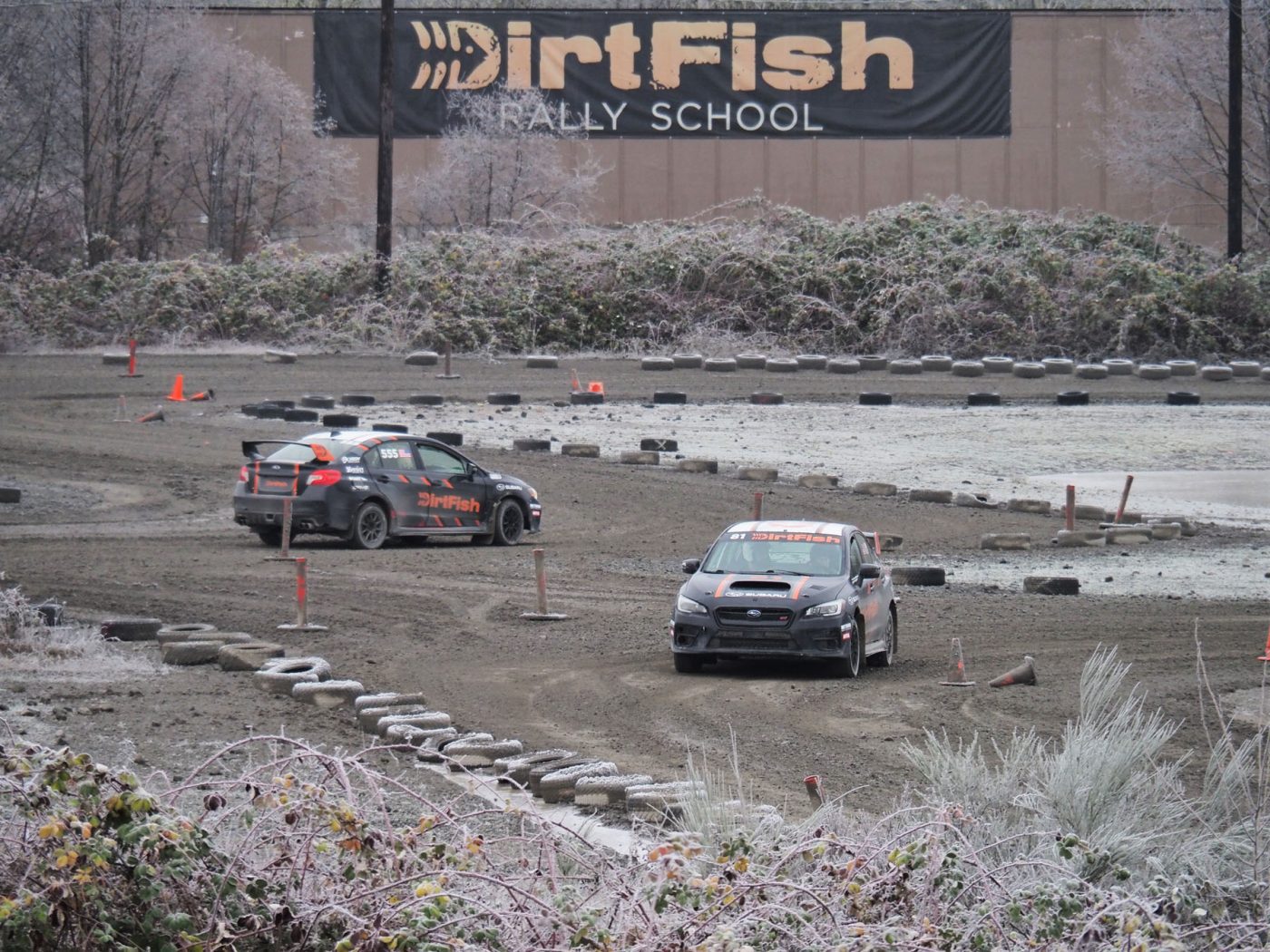 Dirt Fish Rally Cars