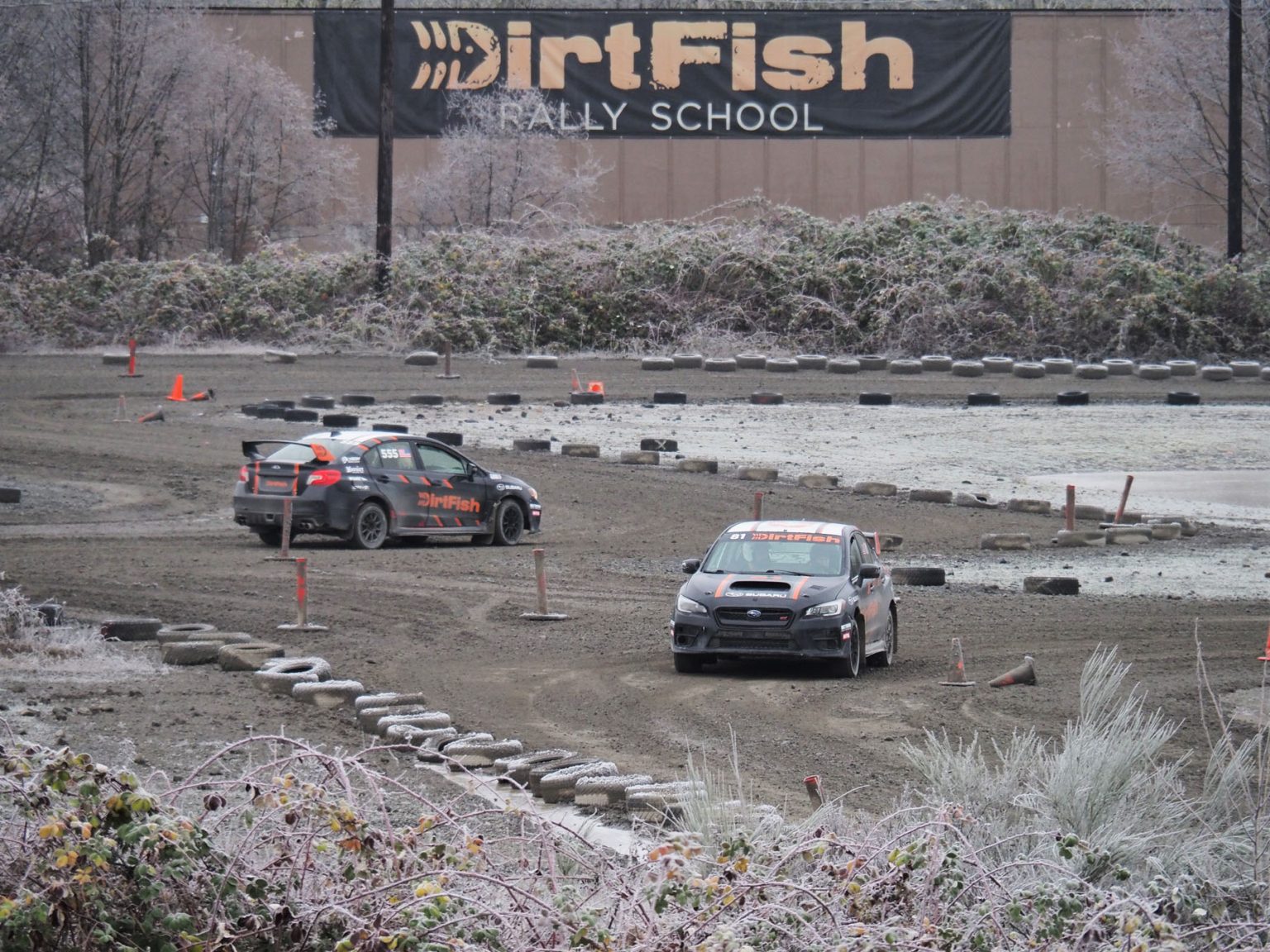 Dirt Fish Rally Cars