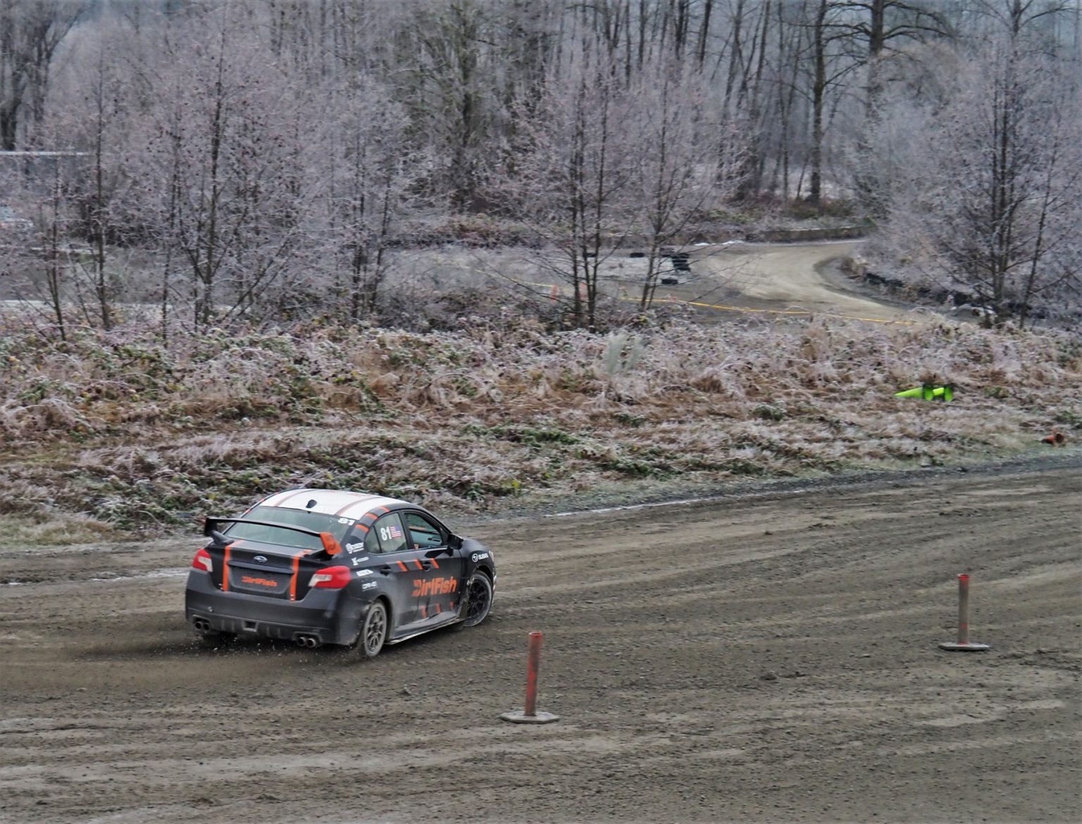 Dirt Fish Rally Cars