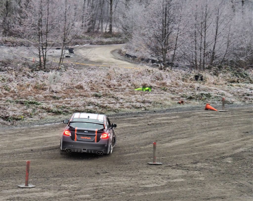 Dirt Fish Rally Cars