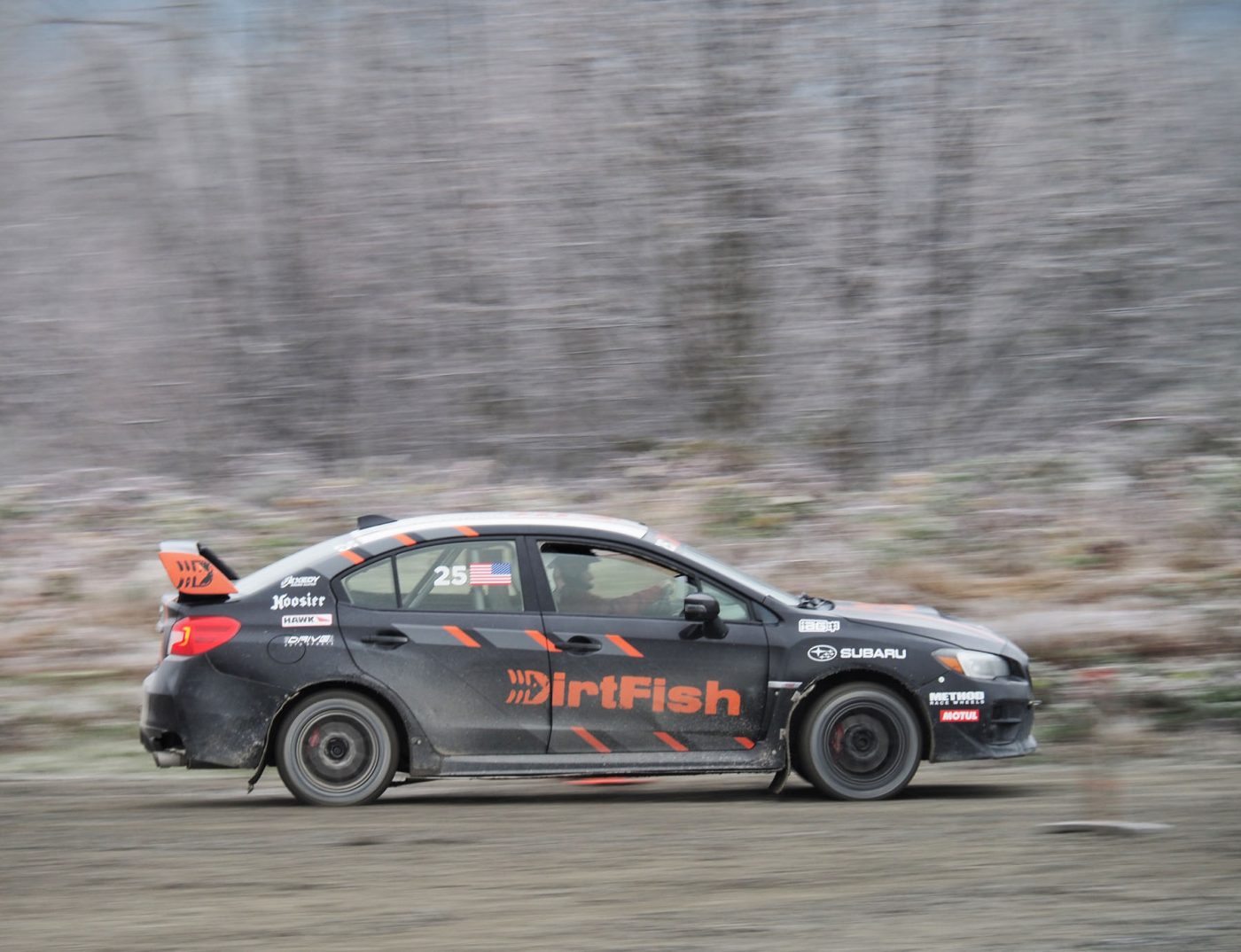 Dirt Fish Rally Cars