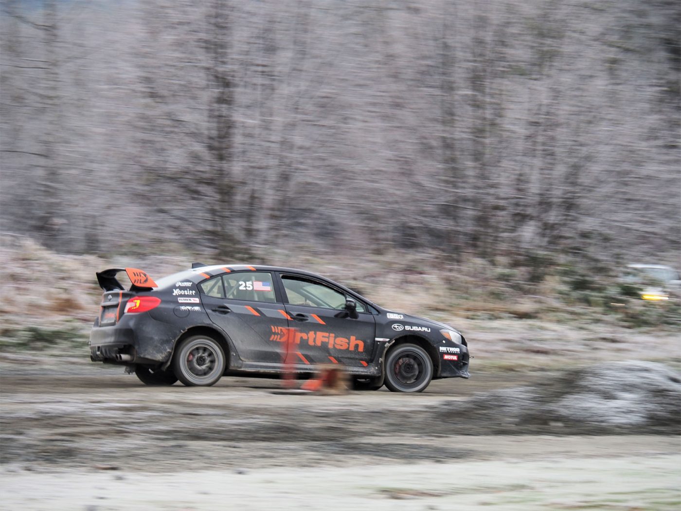 Dirt Fish Rally Cars