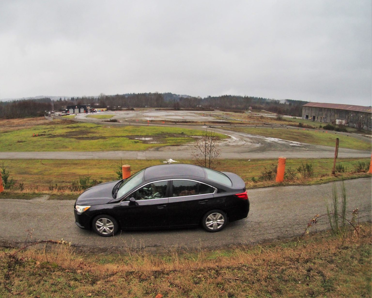 Dirt Fish Rally Cars