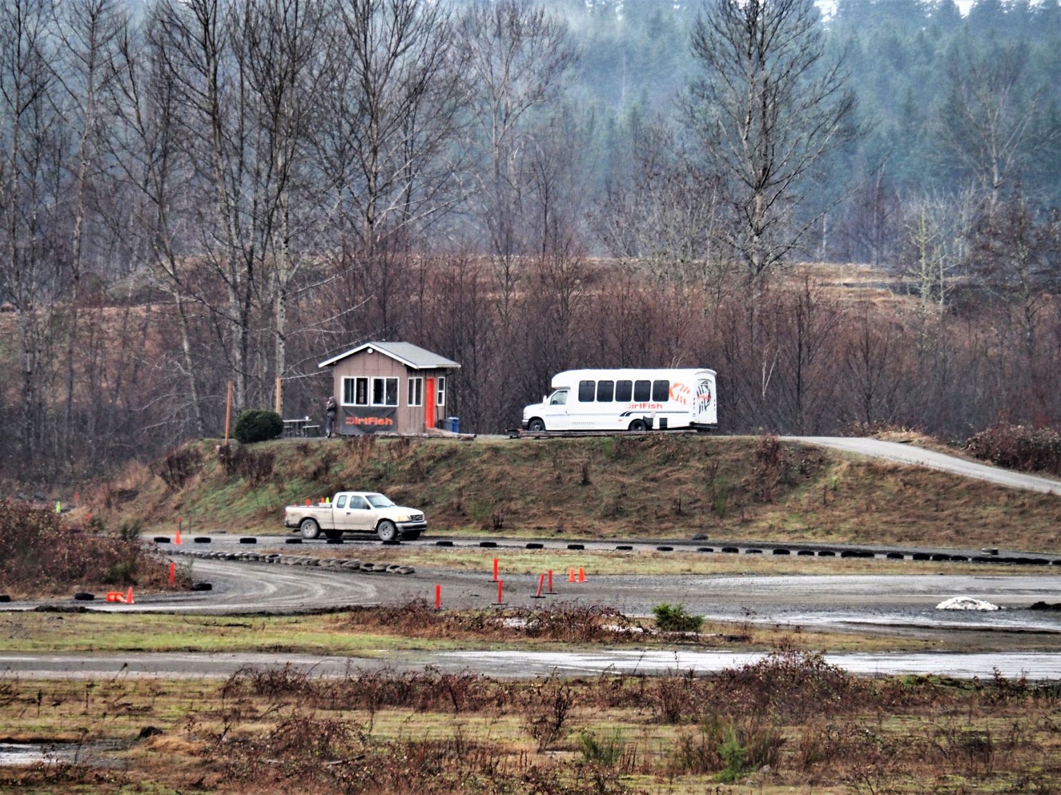 Dirt Fish Rally Cars