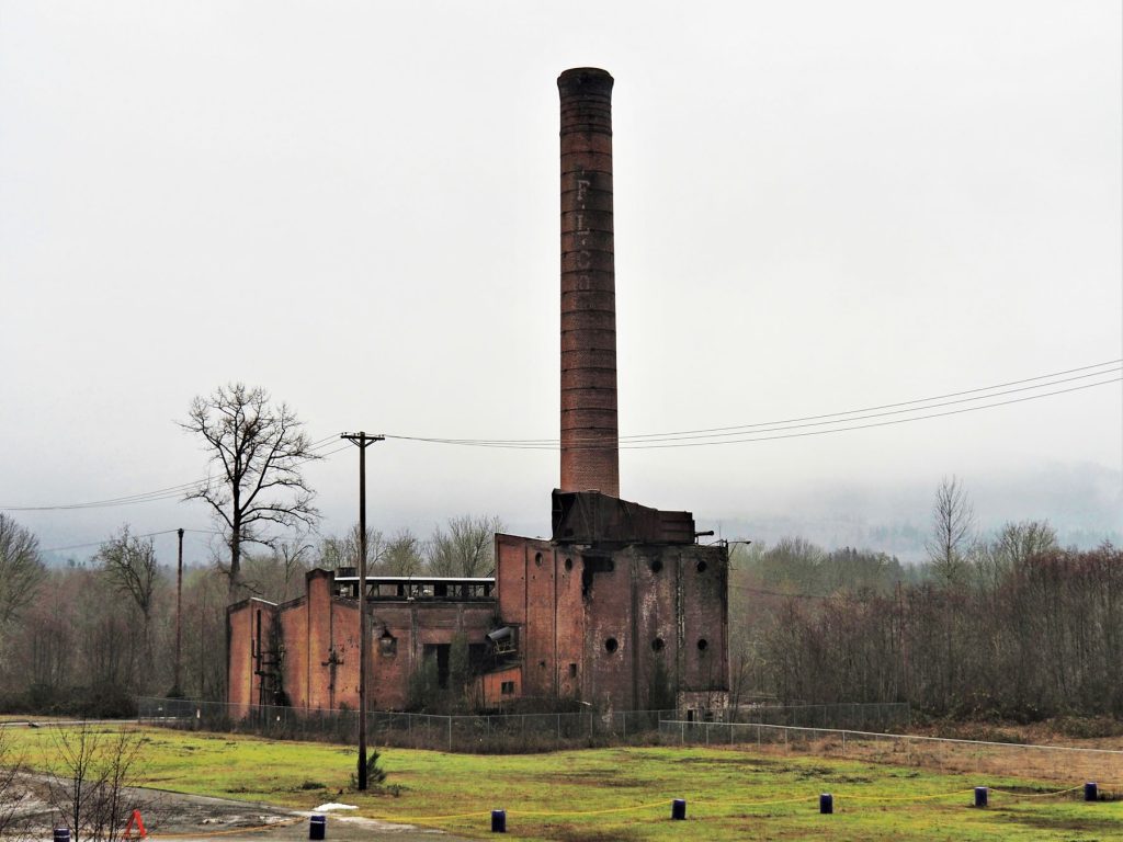 Dirt Fish Rally Cars