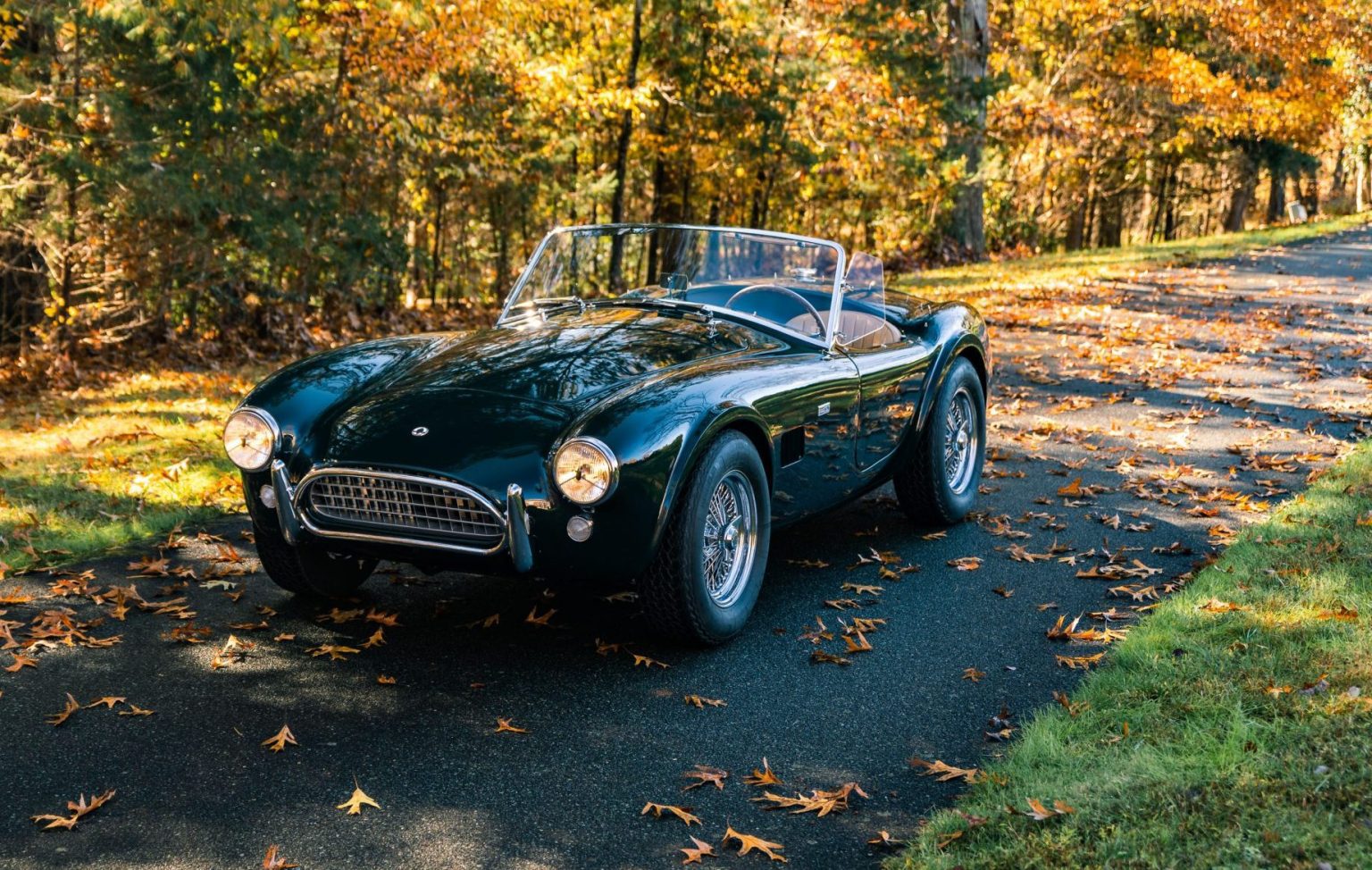 Car Of The Day: 1964 Shelby Cobra 289