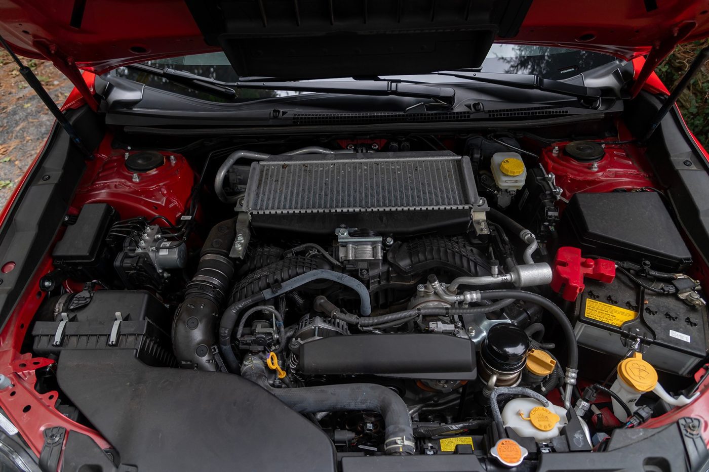 2023 Subaru WRX