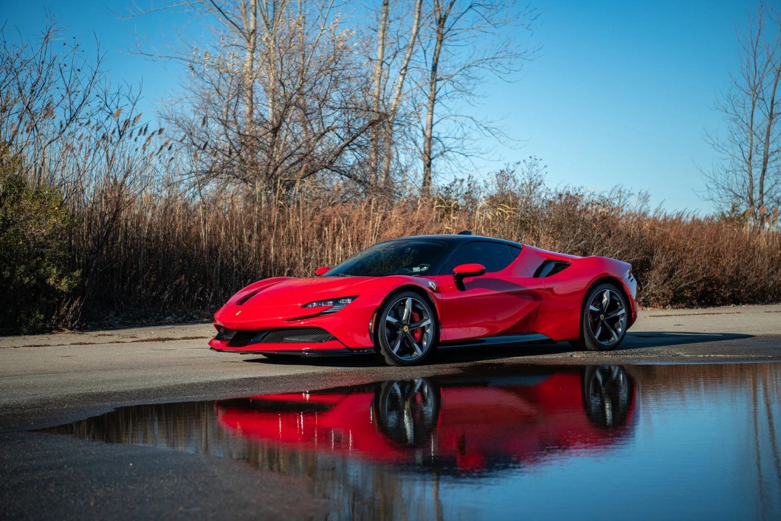 Ferrari F40 - The Ultimate Guide