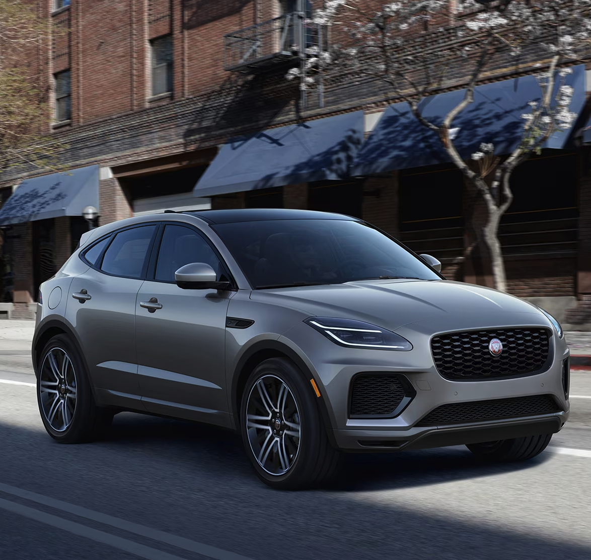 Jaguar - Current Lineup (Reviews, Prices & Our Top Picks)