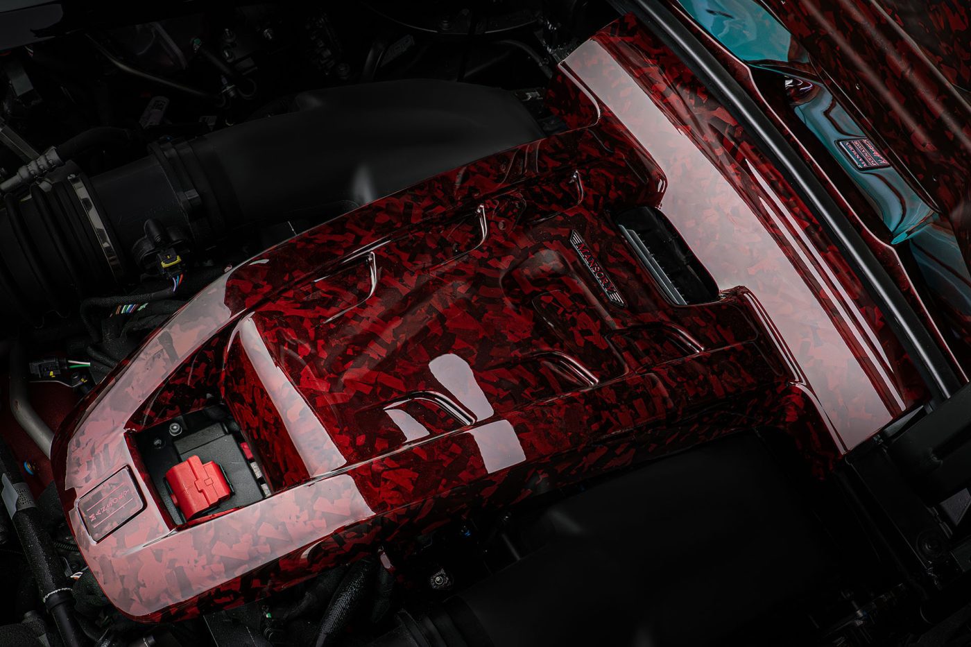 A total vehicle conversion, the MANSORY Pugnator