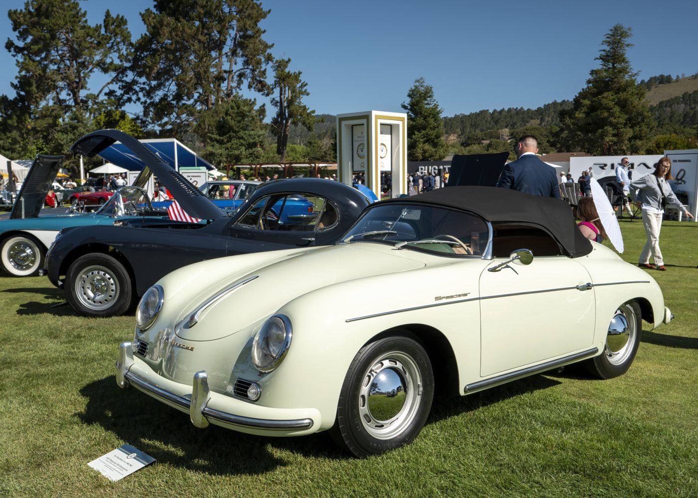 The Quail – Putting the “Panache” on the lawns in 2024