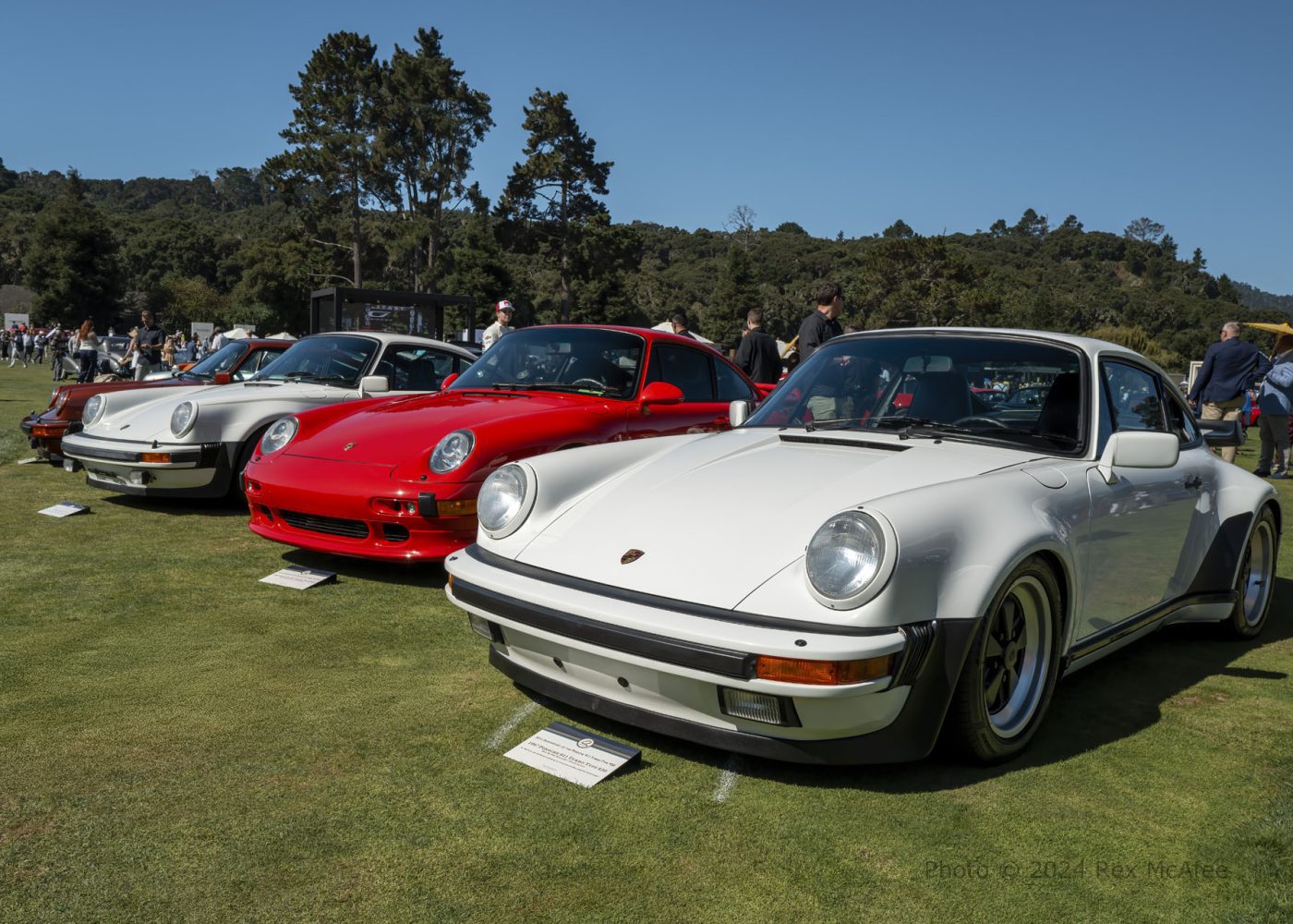 The Quail – Putting the “Panache” on the lawns in 2024