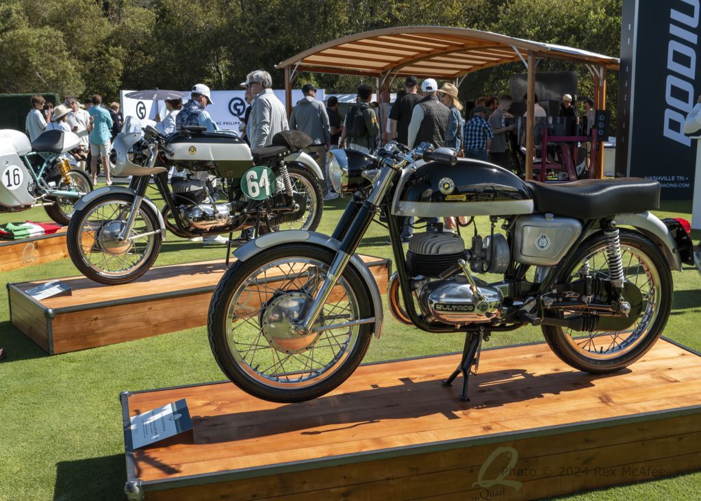 The Quail – Putting the “Panache” on the lawns in 2024