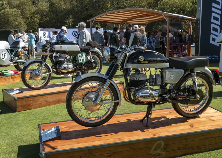 The Quail – Putting the “Panache” on the lawns in 2024