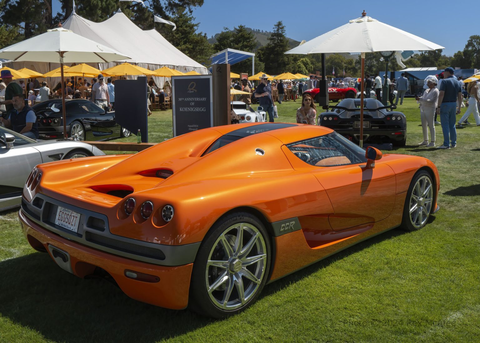 The Quail – Putting the “Panache” on the lawns in 2024