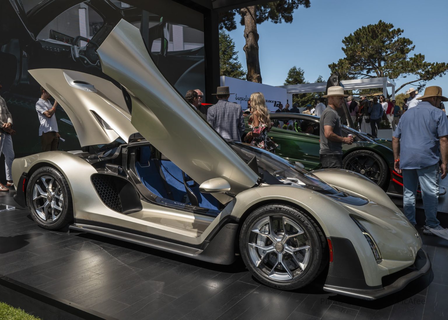 The Quail – Putting the “Panache” on the lawns in 2024