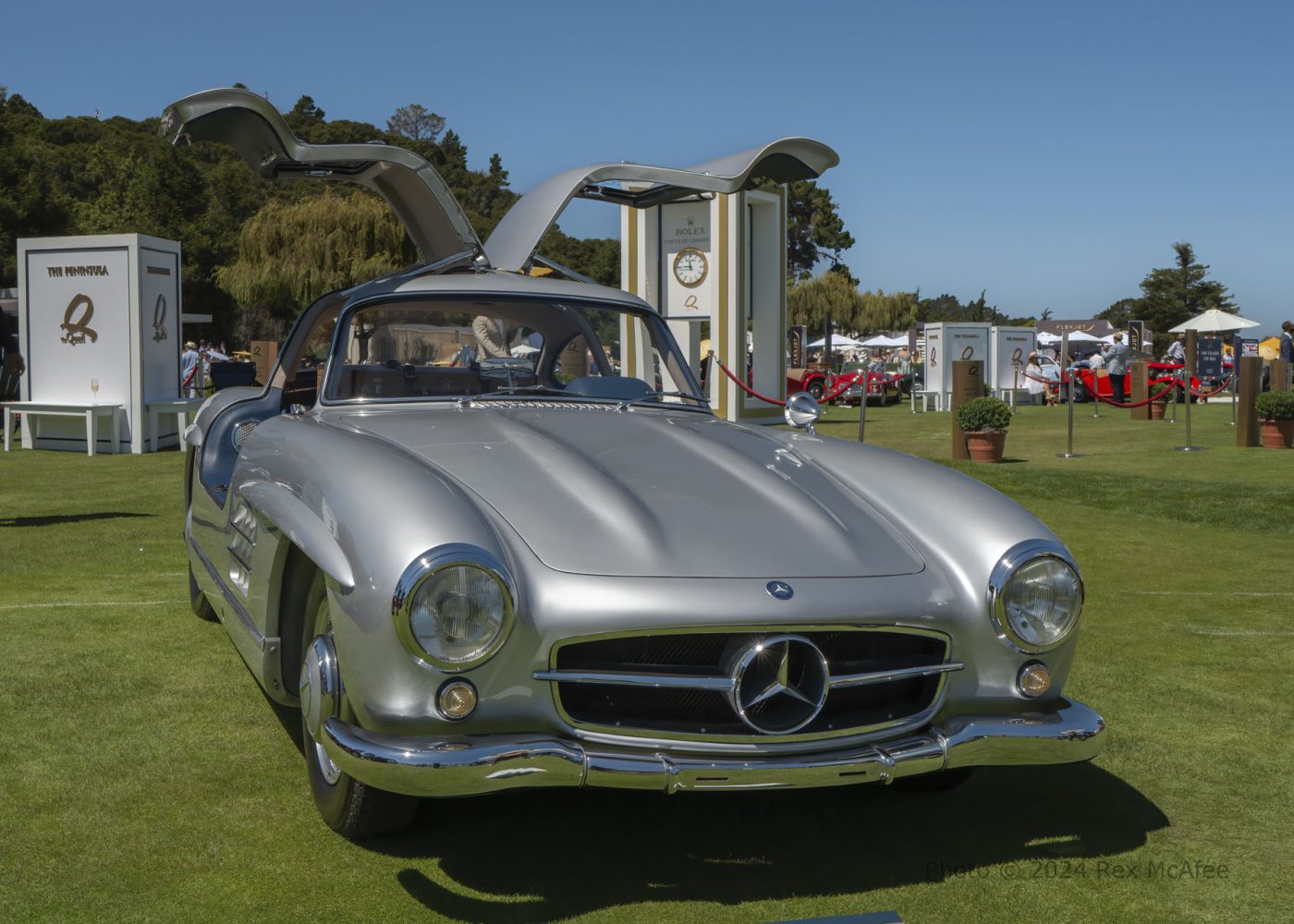 The Quail – Putting the “Panache” on the lawns in 2024