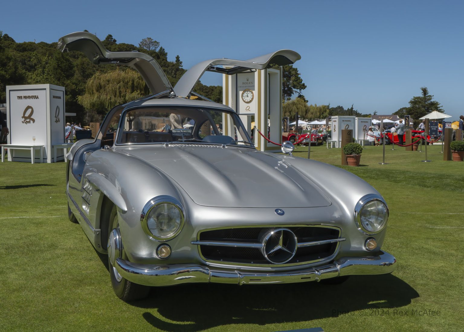 The Quail – Putting the “Panache” on the lawns in 2024